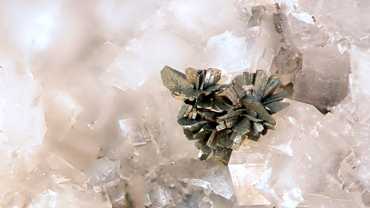 Interessante lezing over mineralen uit de Limburgse steenkolenmijnen ...